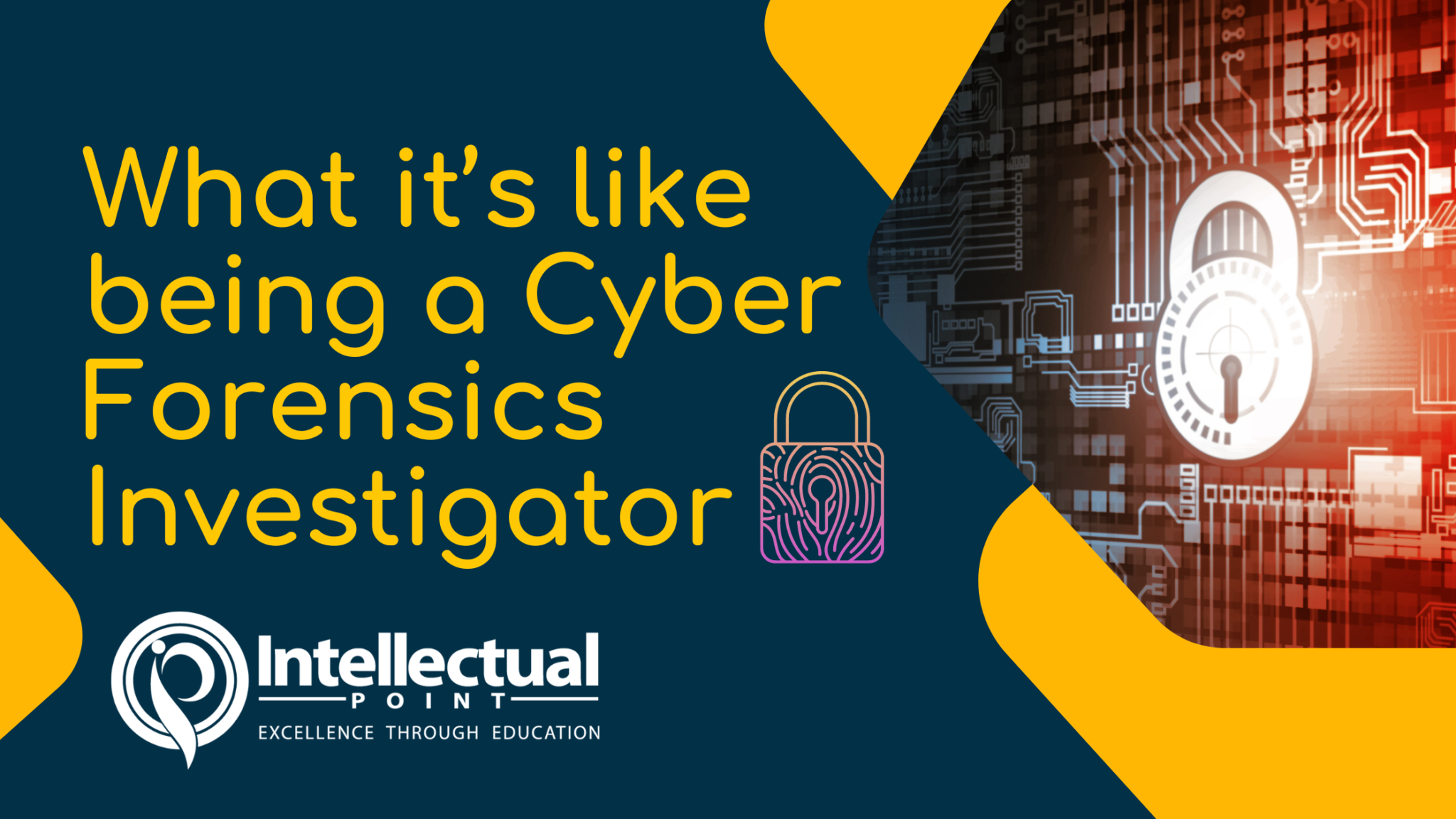 What it’s like being a Cyber Forensics Investigator - Intellectual Point